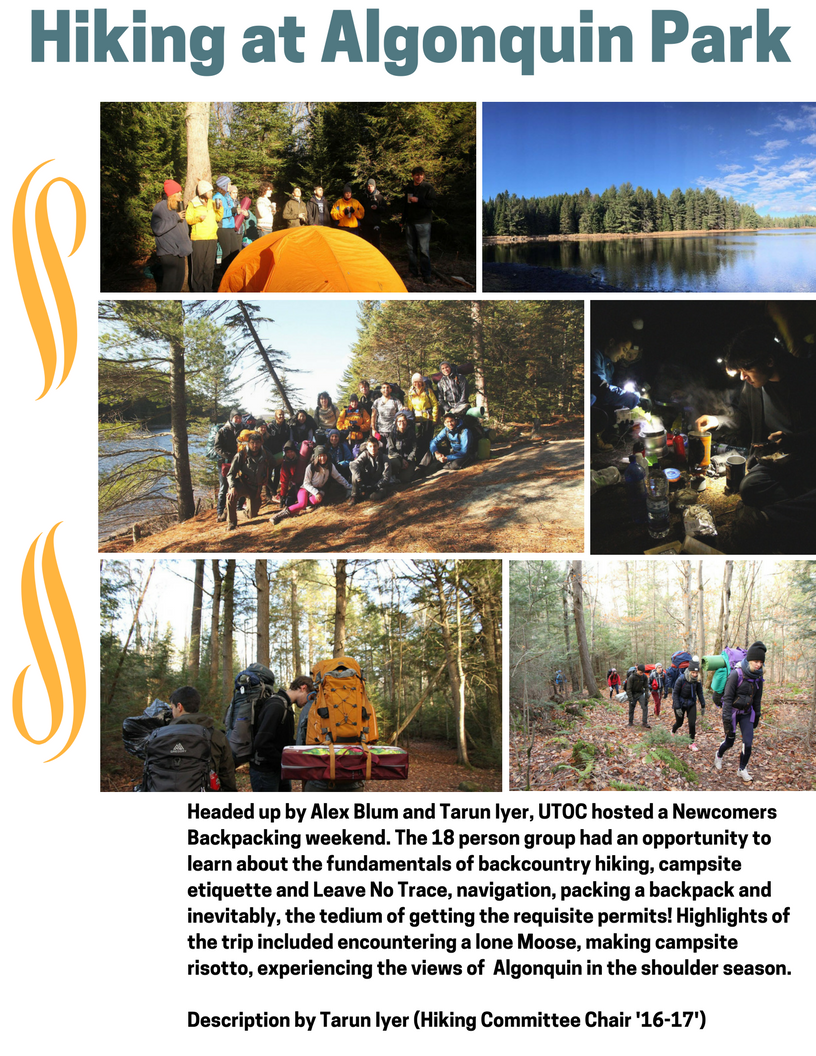 Newsletters — UTOC