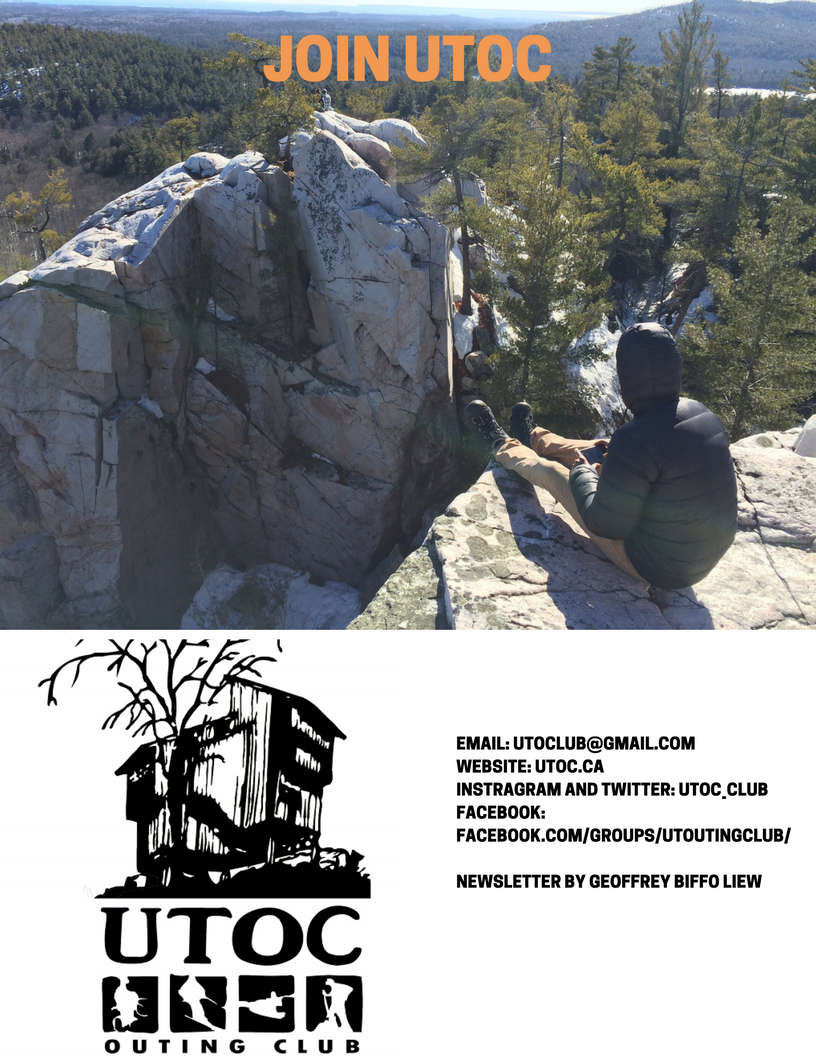 Newsletters — UTOC