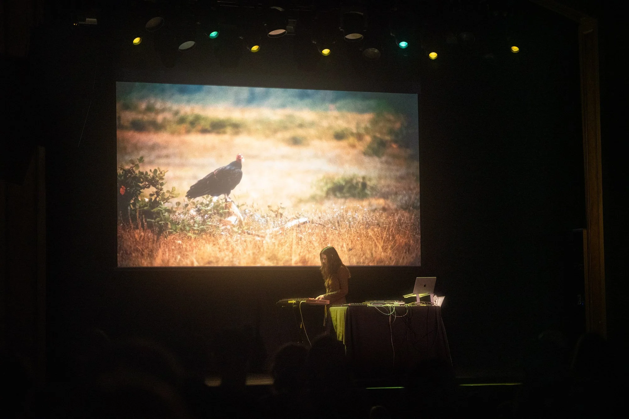 Patricia Wolf + Alexandra Spence — The Lab