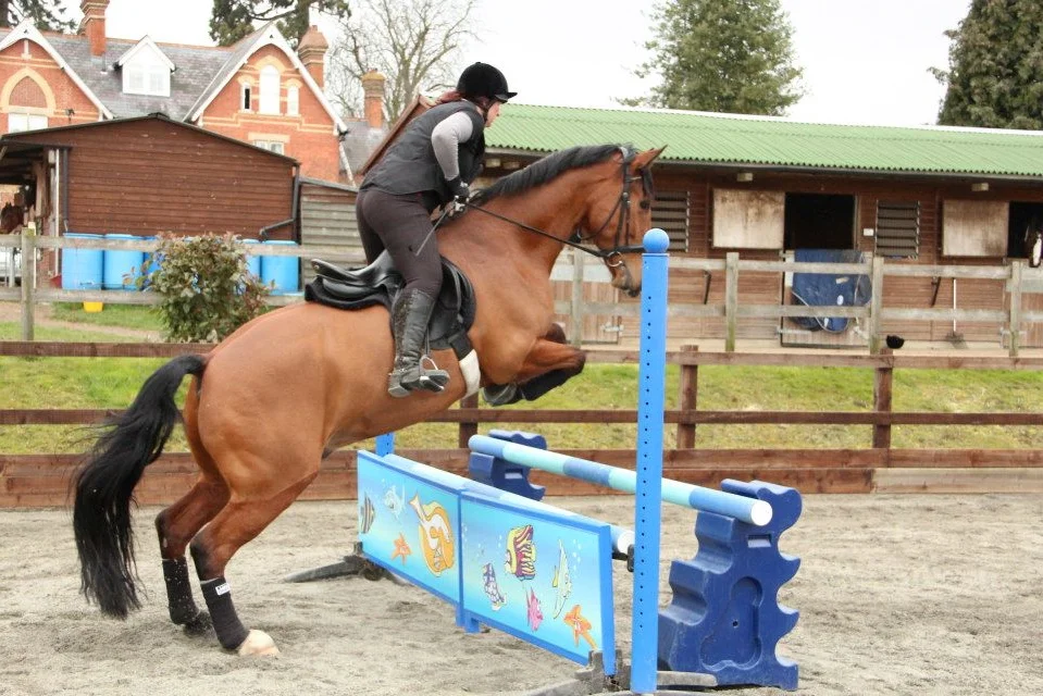 Carmen Court 13th April 2013 — Drombane Johnjoe