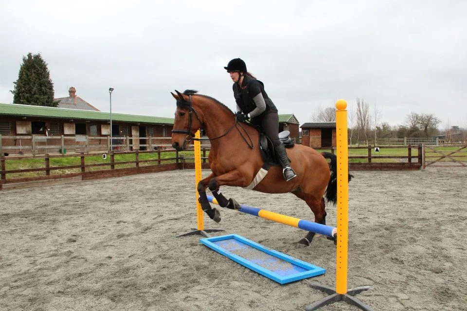 Carmen Court 13th April 2013 — Drombane Johnjoe