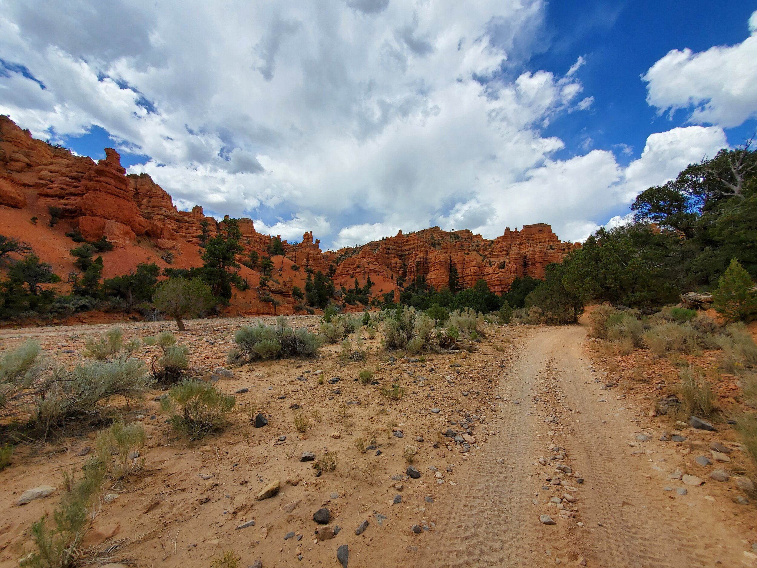 Castro Canyon, Fremont, and Peterson Point ATV ride, Castro Canyon - UT ...