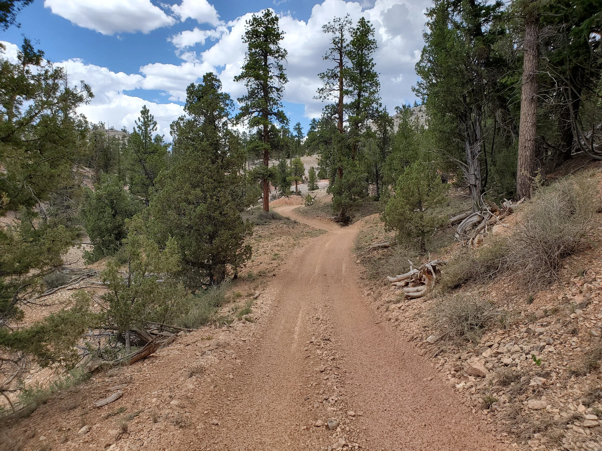 Castro Canyon, Fremont, and Peterson Point ATV ride, Castro Canyon - UT ...