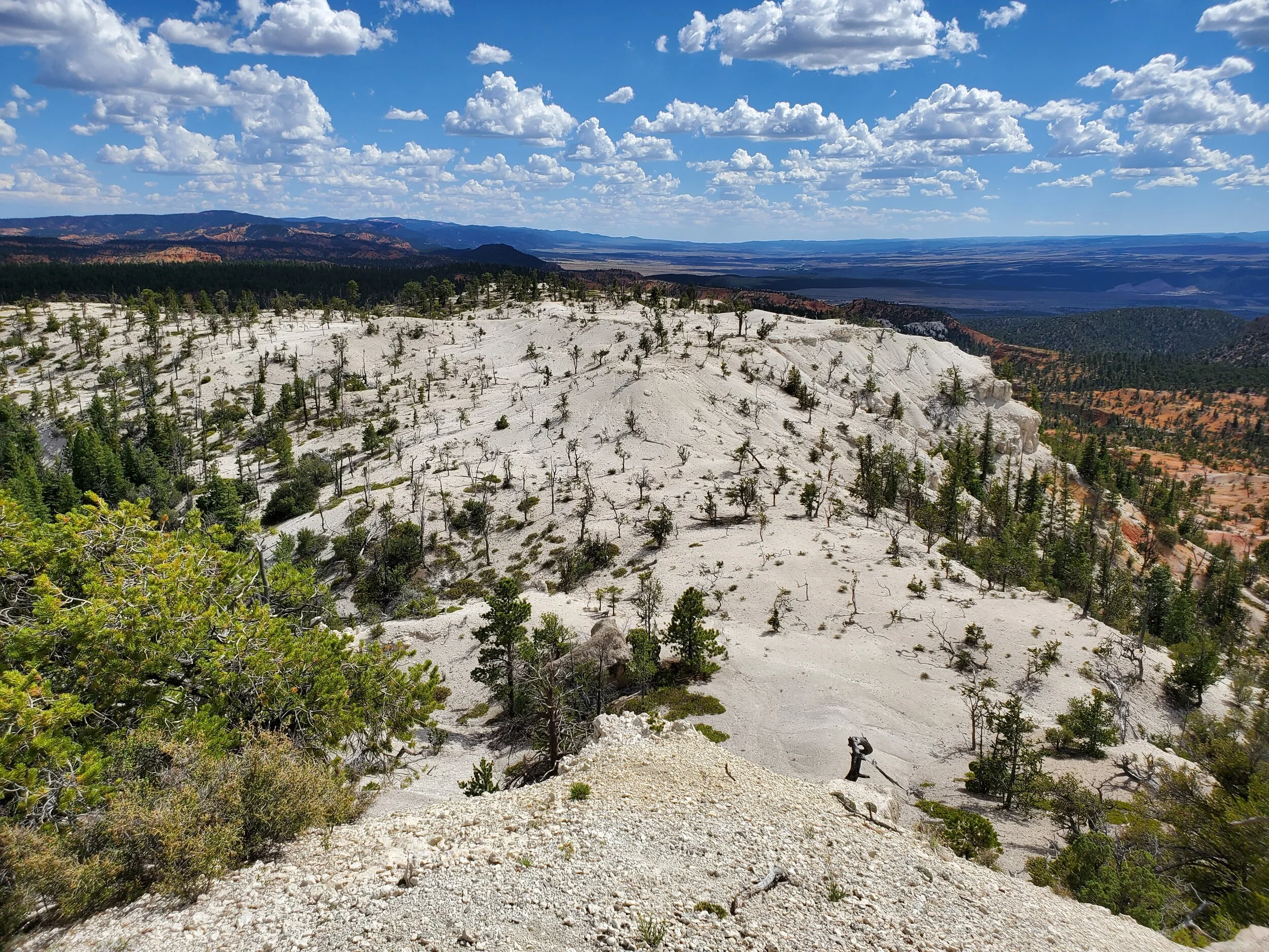 Castro Canyon, Fremont, and Peterson Point ATV ride, Castro Canyon - UT ...