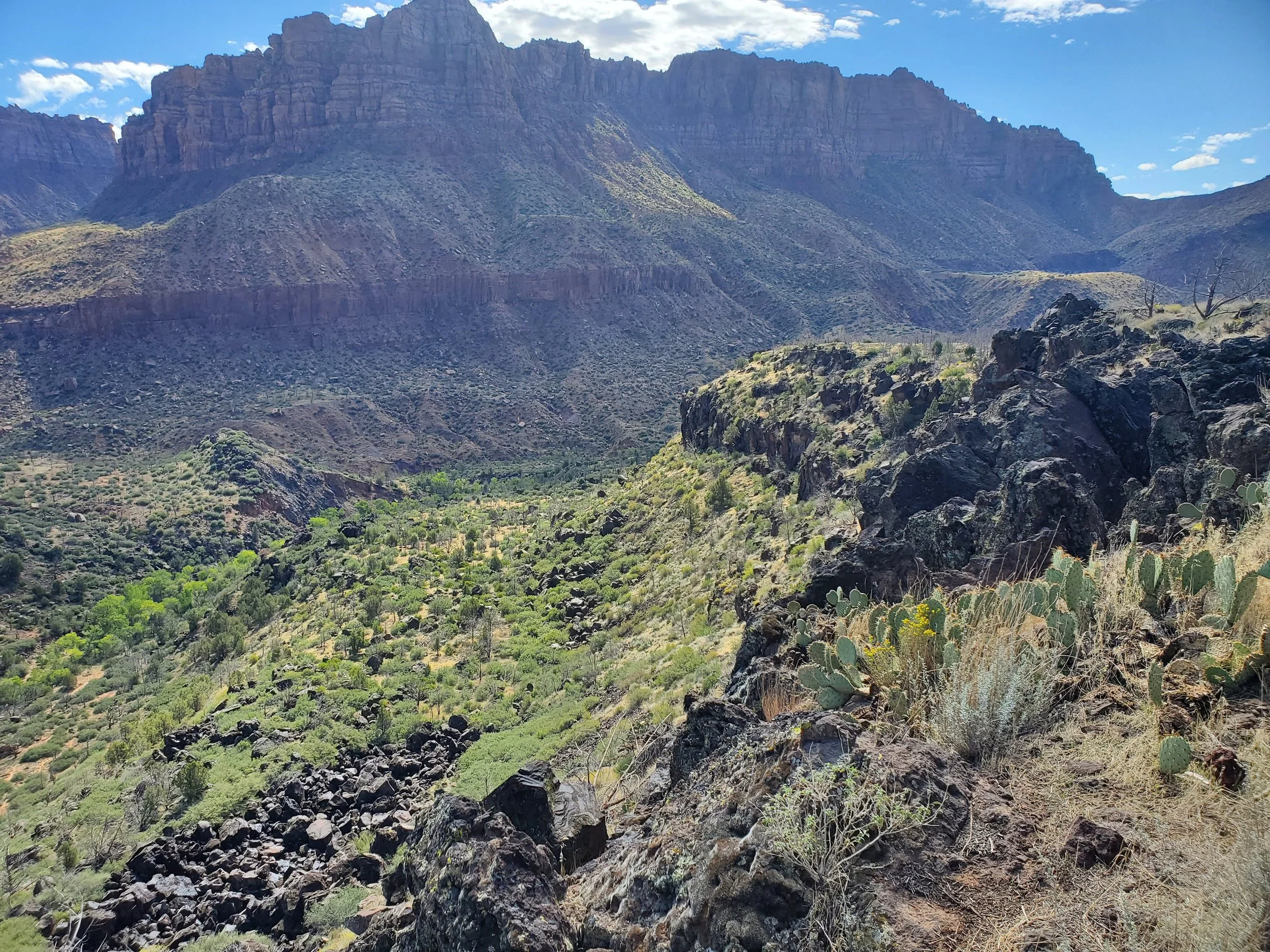Hiking the Grapevine Trail to Left Fork North Creek (Zion National Park ...