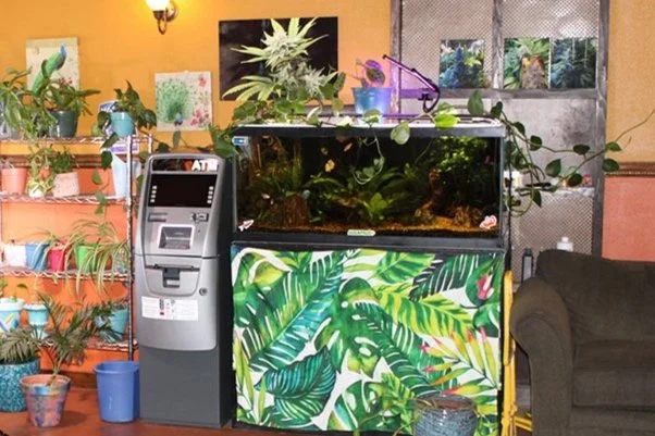 Natural Alternatives Marijuana Dispensary