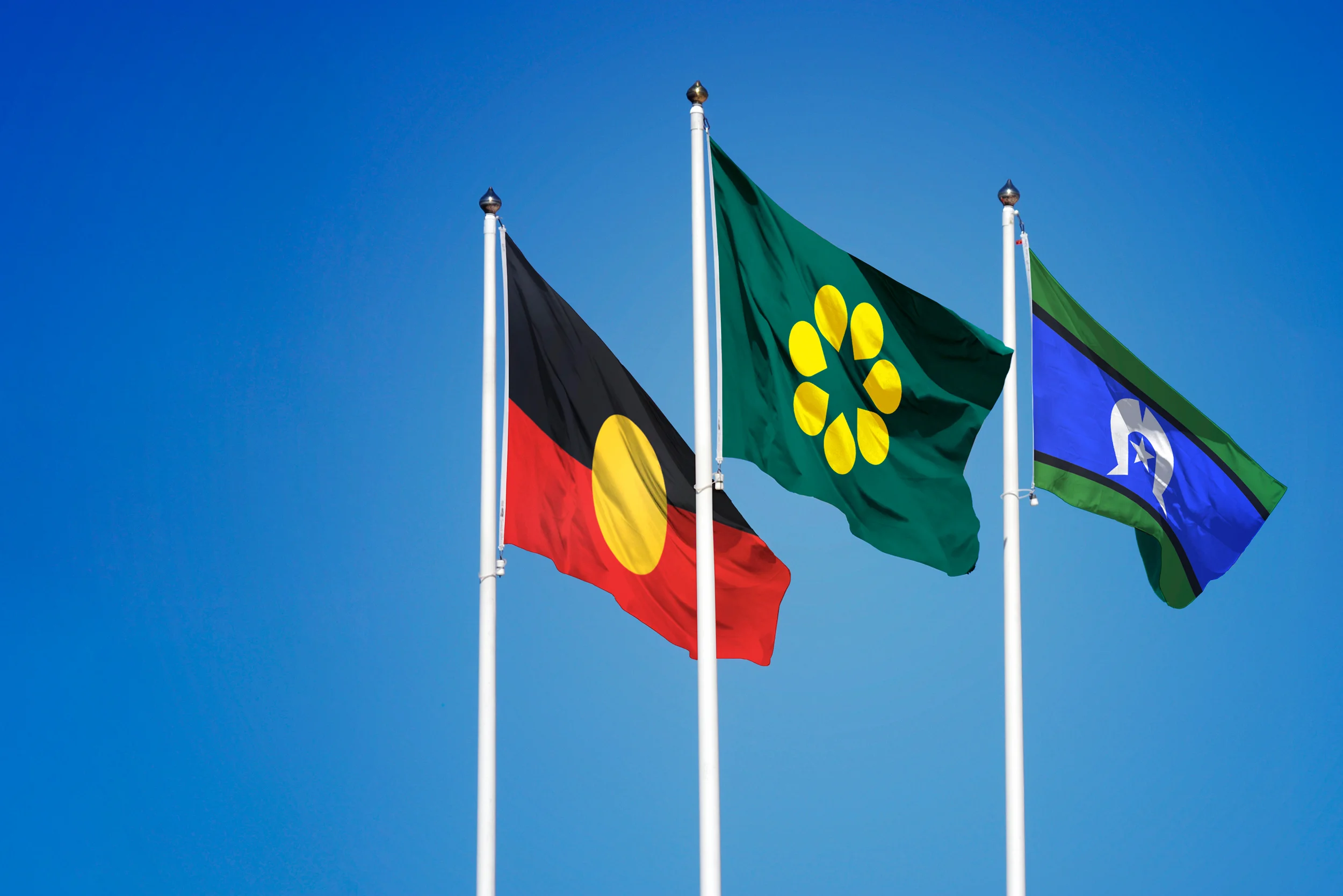 The Golden Wattle flag