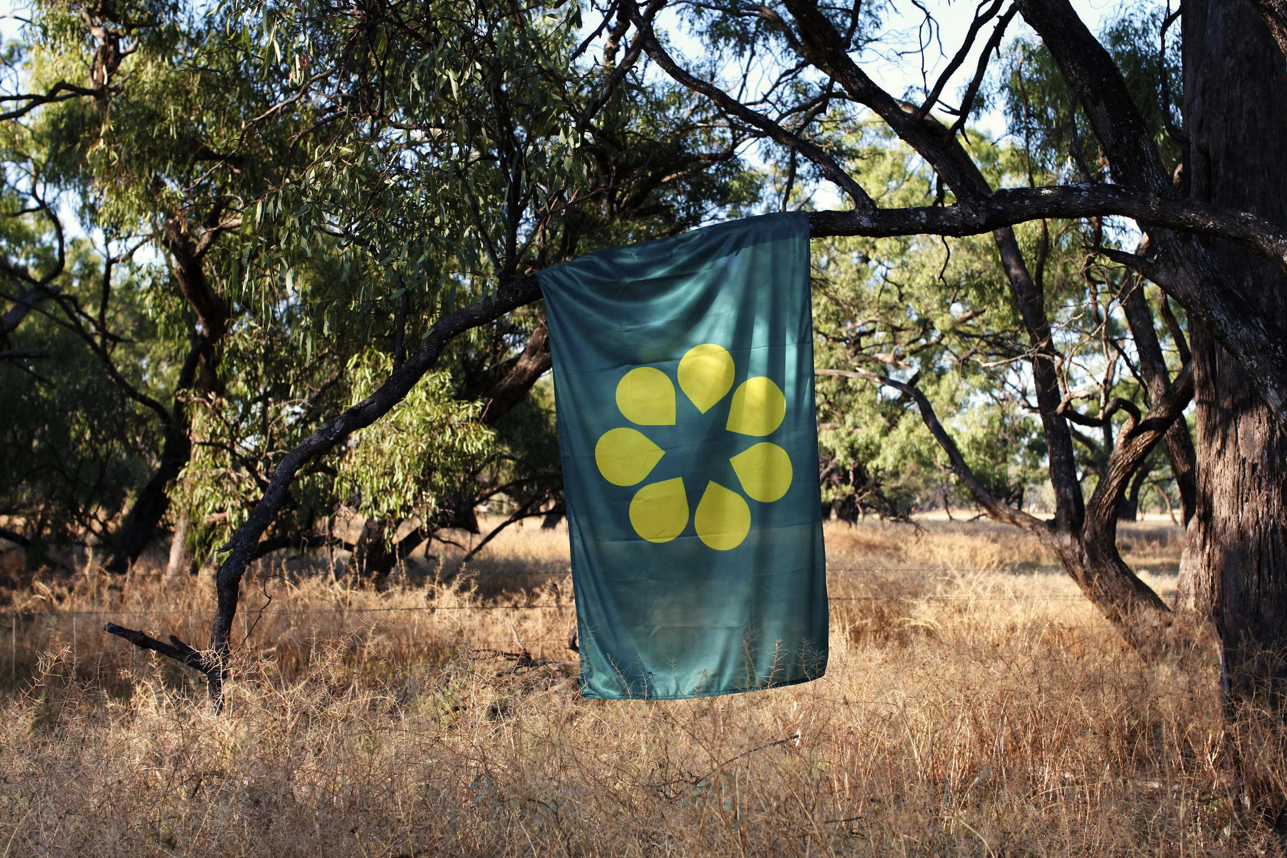 The Golden Wattle flag