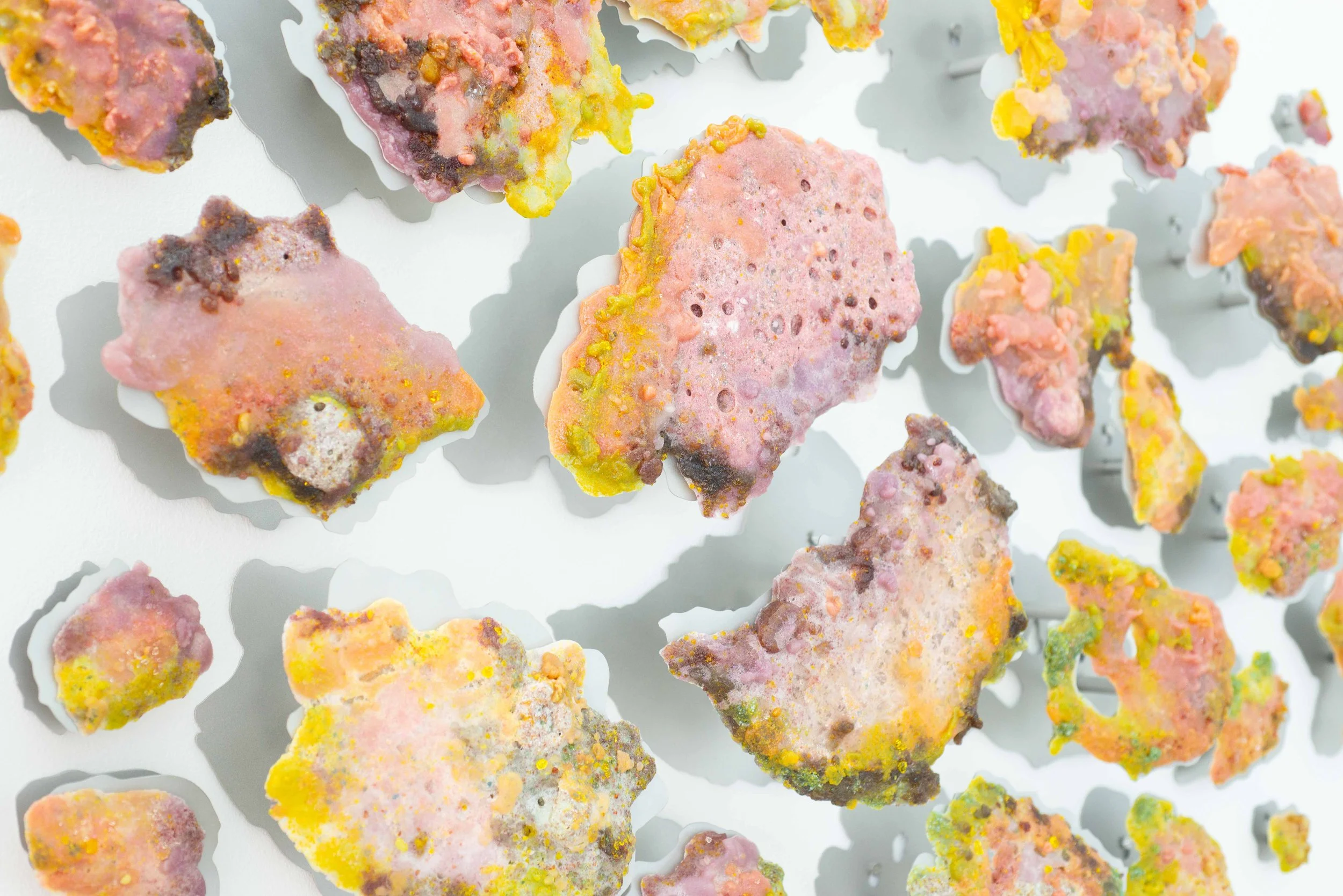 Gradient_Shift — Damaris Athene