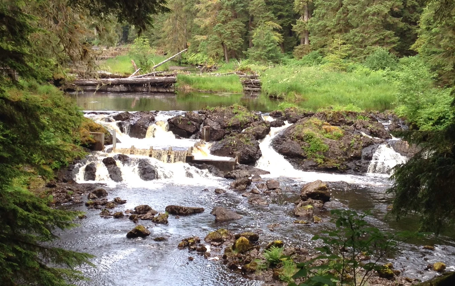 Prince of Wales Island: Things to Do — Destination: Wildlife™