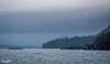 Prince of Wales Island: Things to Do — Destination: Wildlife™