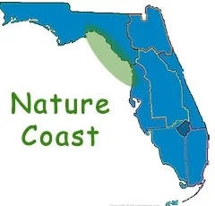 In a State Not So Far, Far Away ... Adventure on Florida's Nature Coast ...