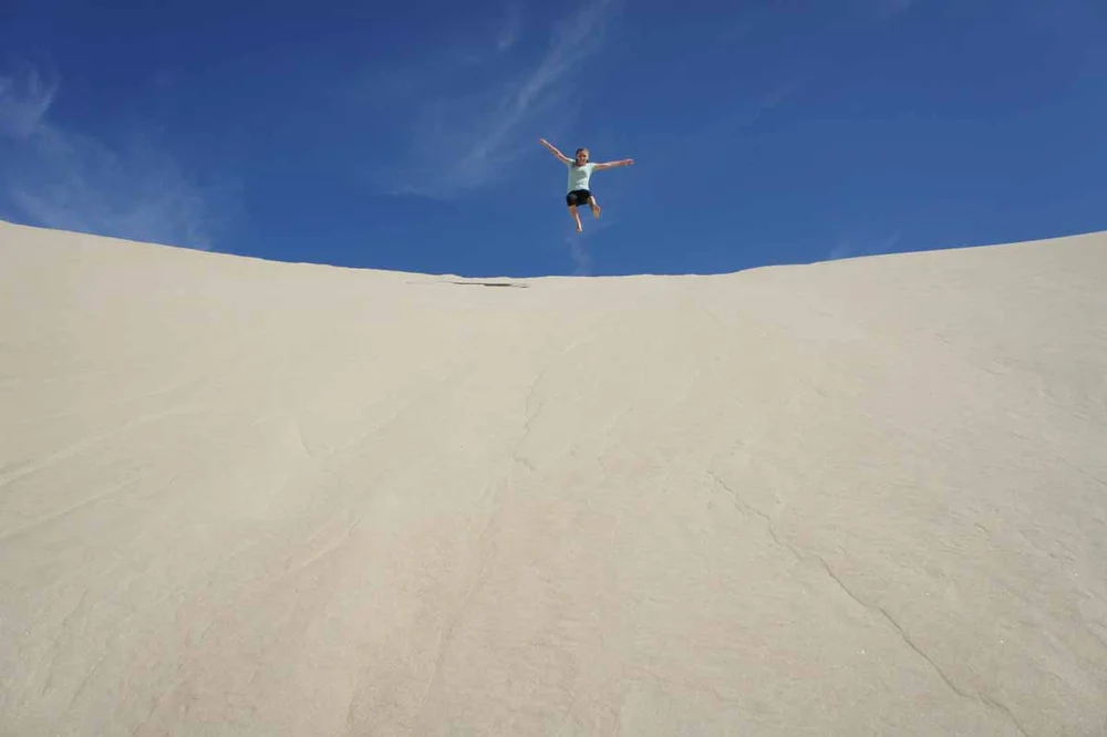 9 Great Reasons to Love A Sea Turtle Volunteer vacation in Baja ...
