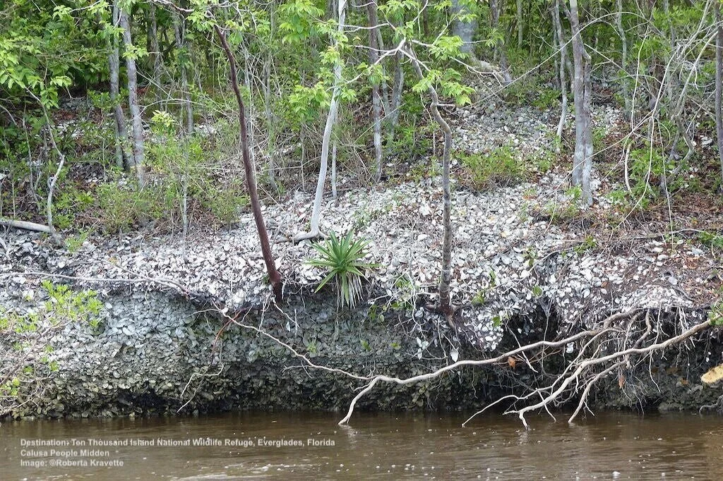 55 Reasons Why the Florida Everglades are Special — Destination: Wildlife™