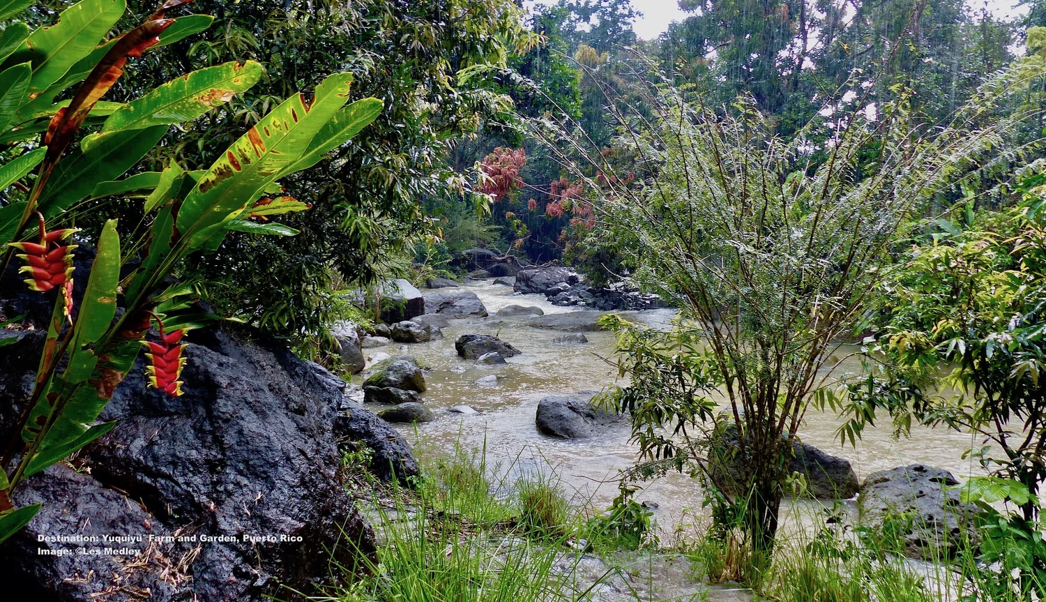 5 Fabulous Days in Paradise, Welcome to Yuquiyú — Destination: Wildlife™