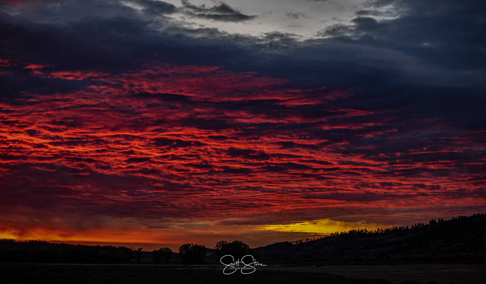 When the Shadows Fall. The Powerful Call of Slippery Ann’s Elk ...