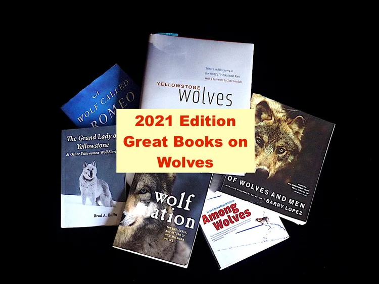 9+Great Books on Wolves, 2024 Update — Destination: Wildlife™