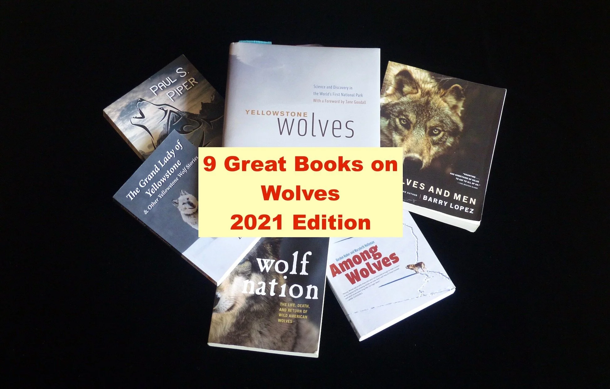9 Great Books on Wolves, 2021 Edition — Destination: Wildlife™