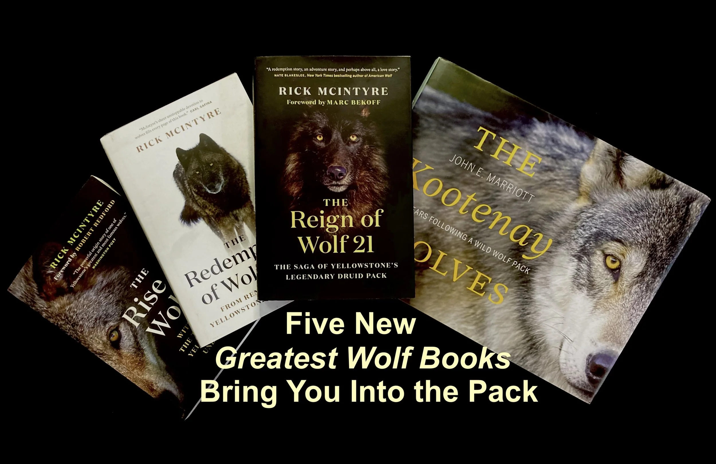 5 New Greatest Wolf Books that Bring You Into the Pack. 2023 Edition ...