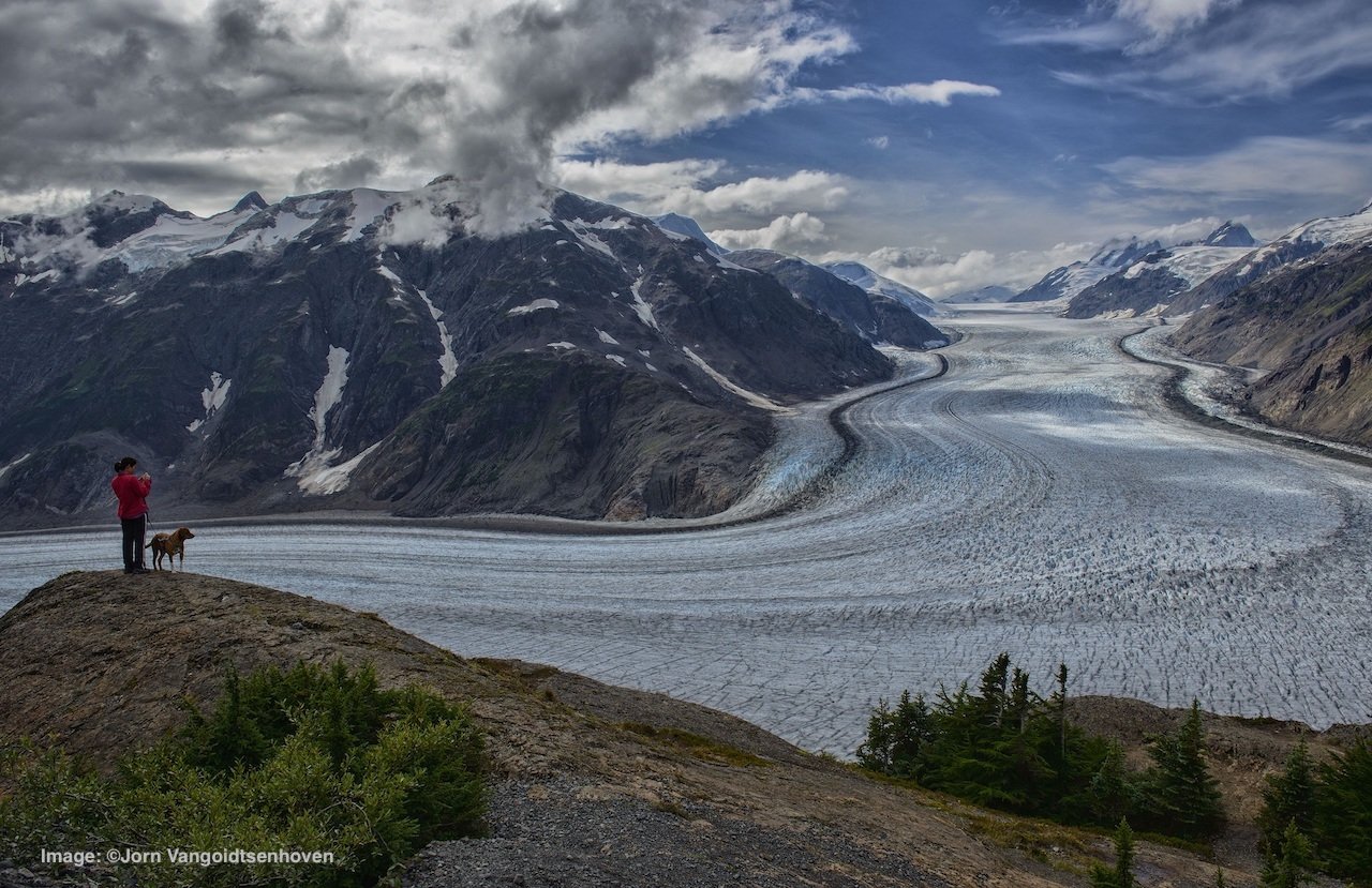 The Best Place to See Fishing Bears — Destination: Wildlife™
