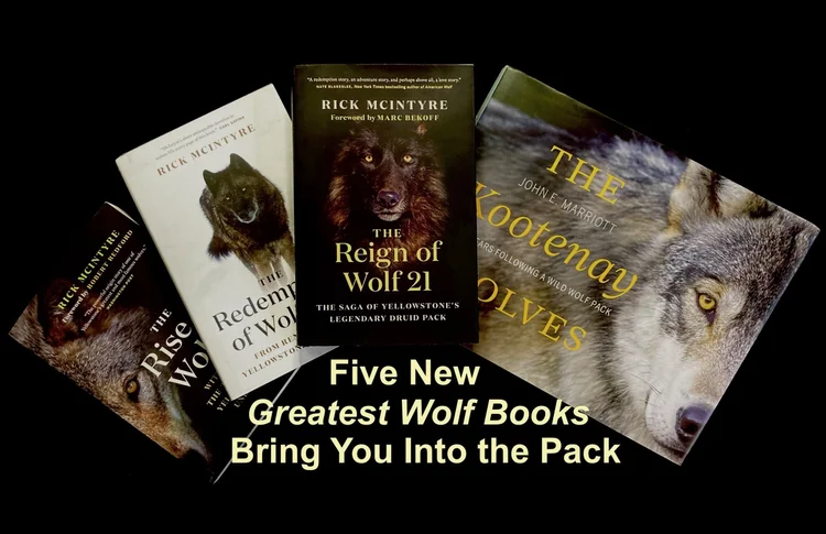 9+Great Books on Wolves, 2024 Update — Destination: Wildlife™
