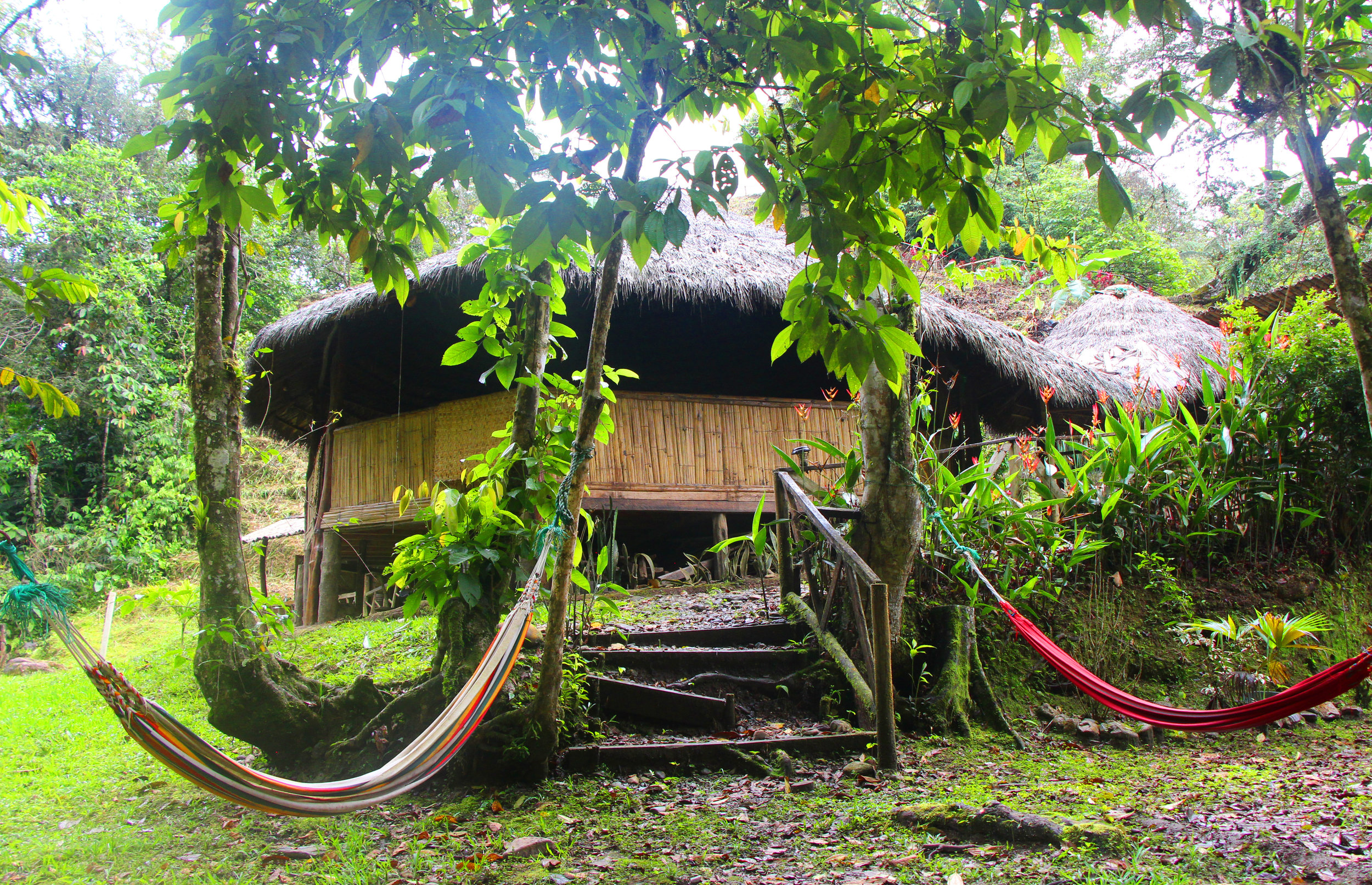 Mother Ayahuasca Retreat – Ayahuasca in Ecuador