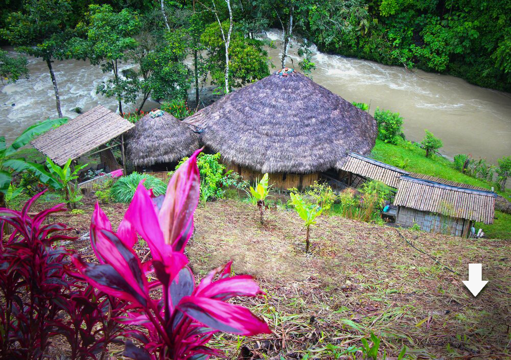 Mother Ayahuasca Retreat – Ayahuasca in Ecuador