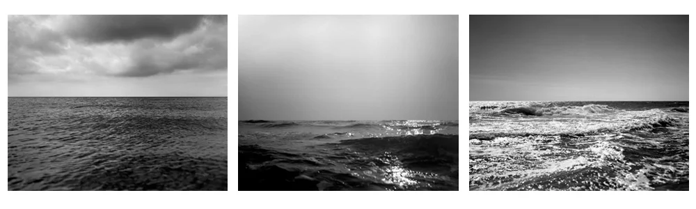 Kevin Kish Photography