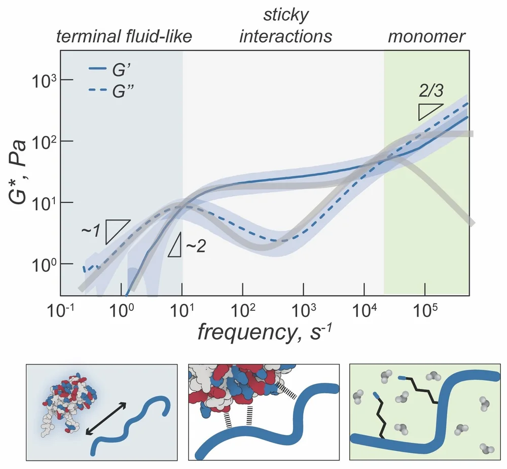 Publications — Obermeyer Research Group