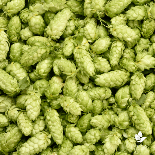 Hops Monograph — HerbRally