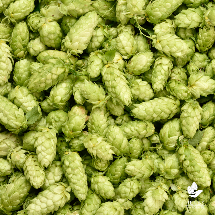 Hops Monograph — HerbRally