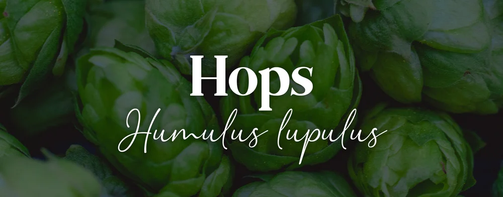 Hops Monograph — HerbRally