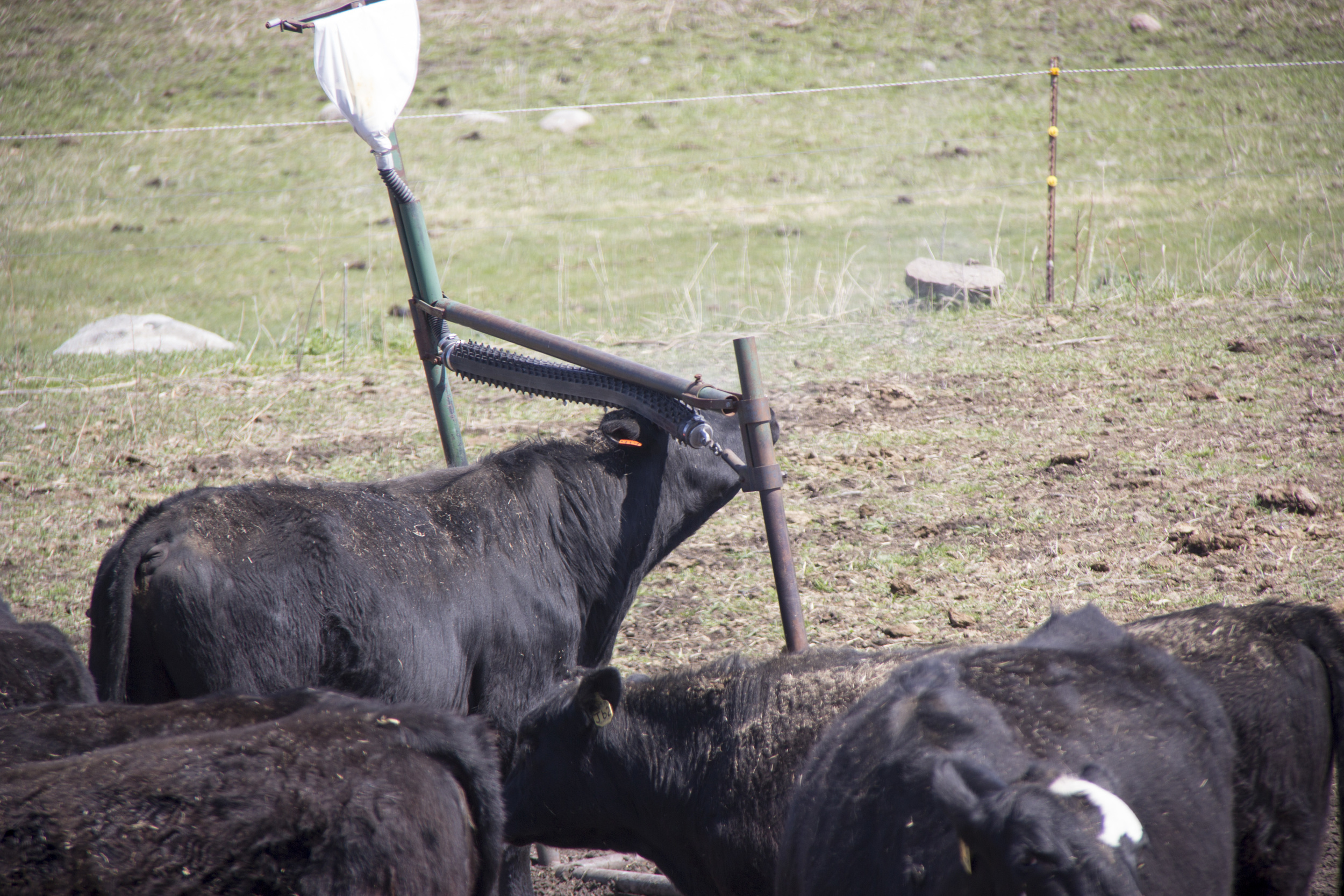 OUR PRODUCTS — Doctor Scratch