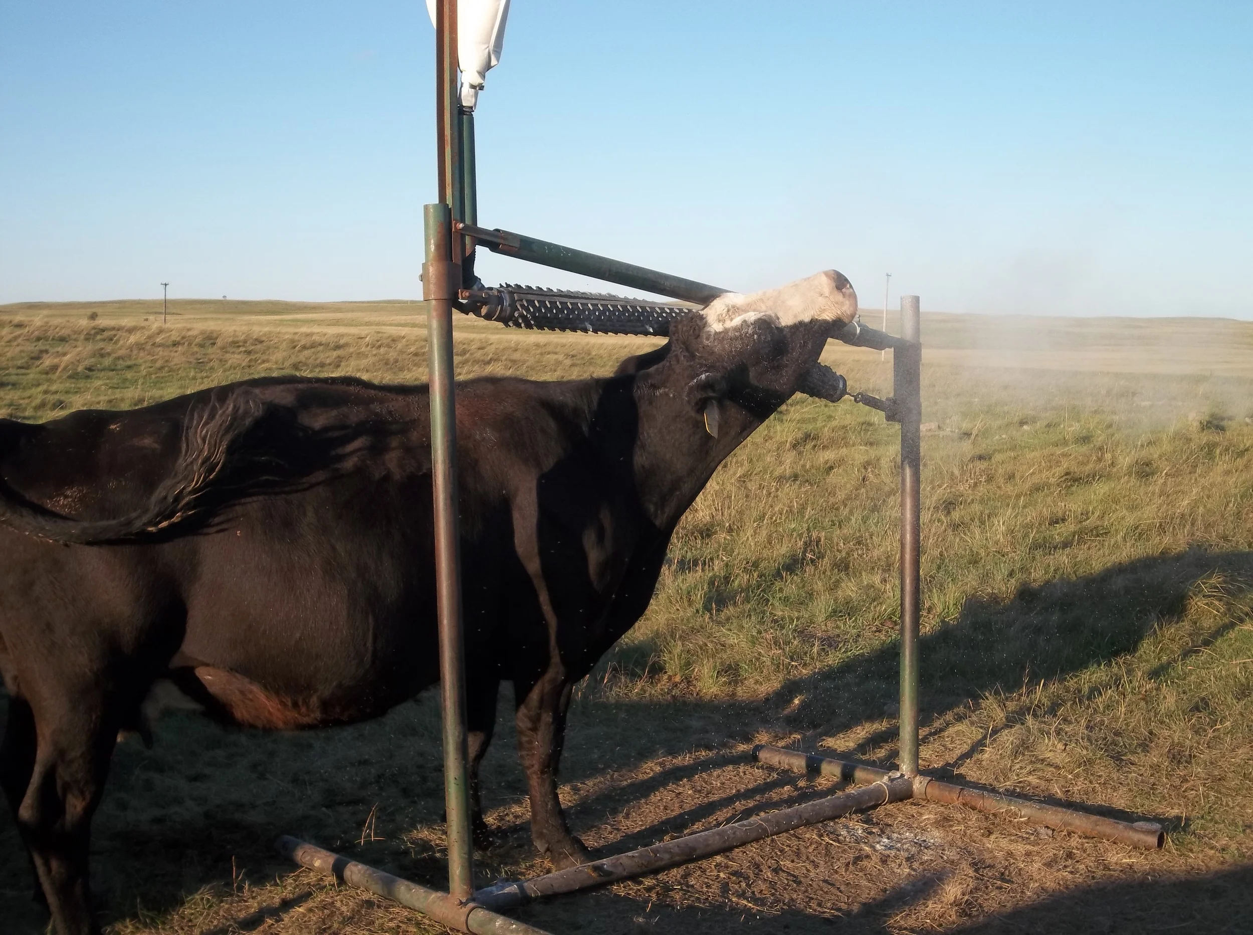 OUR PRODUCTS — Doctor Scratch