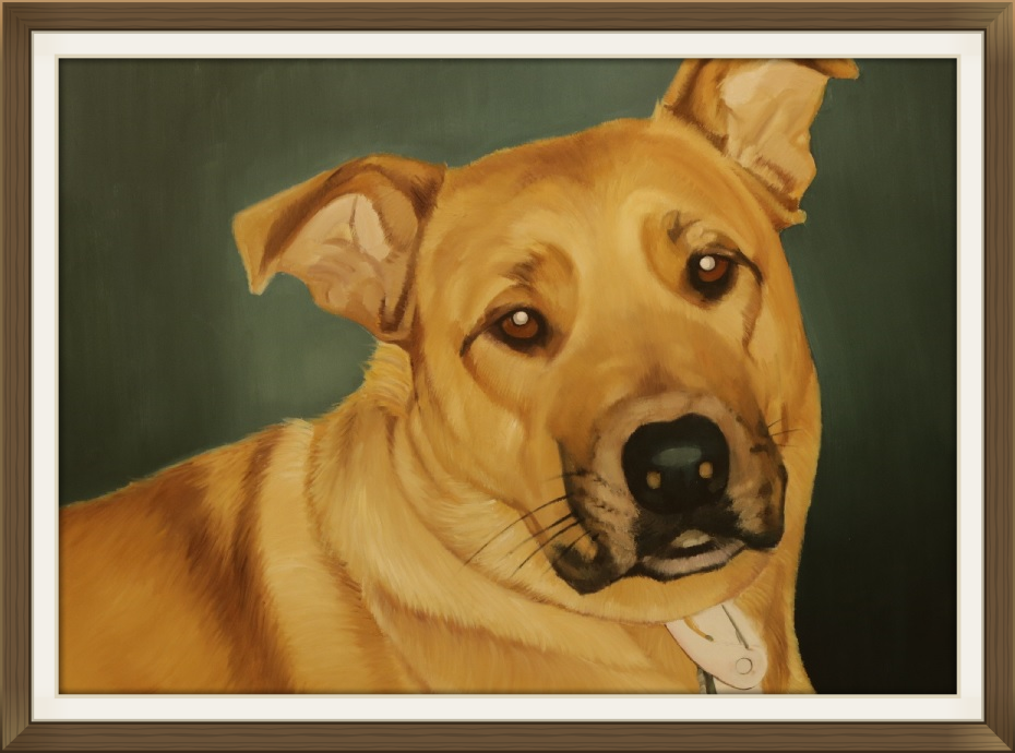 Ridgeback Capital Management