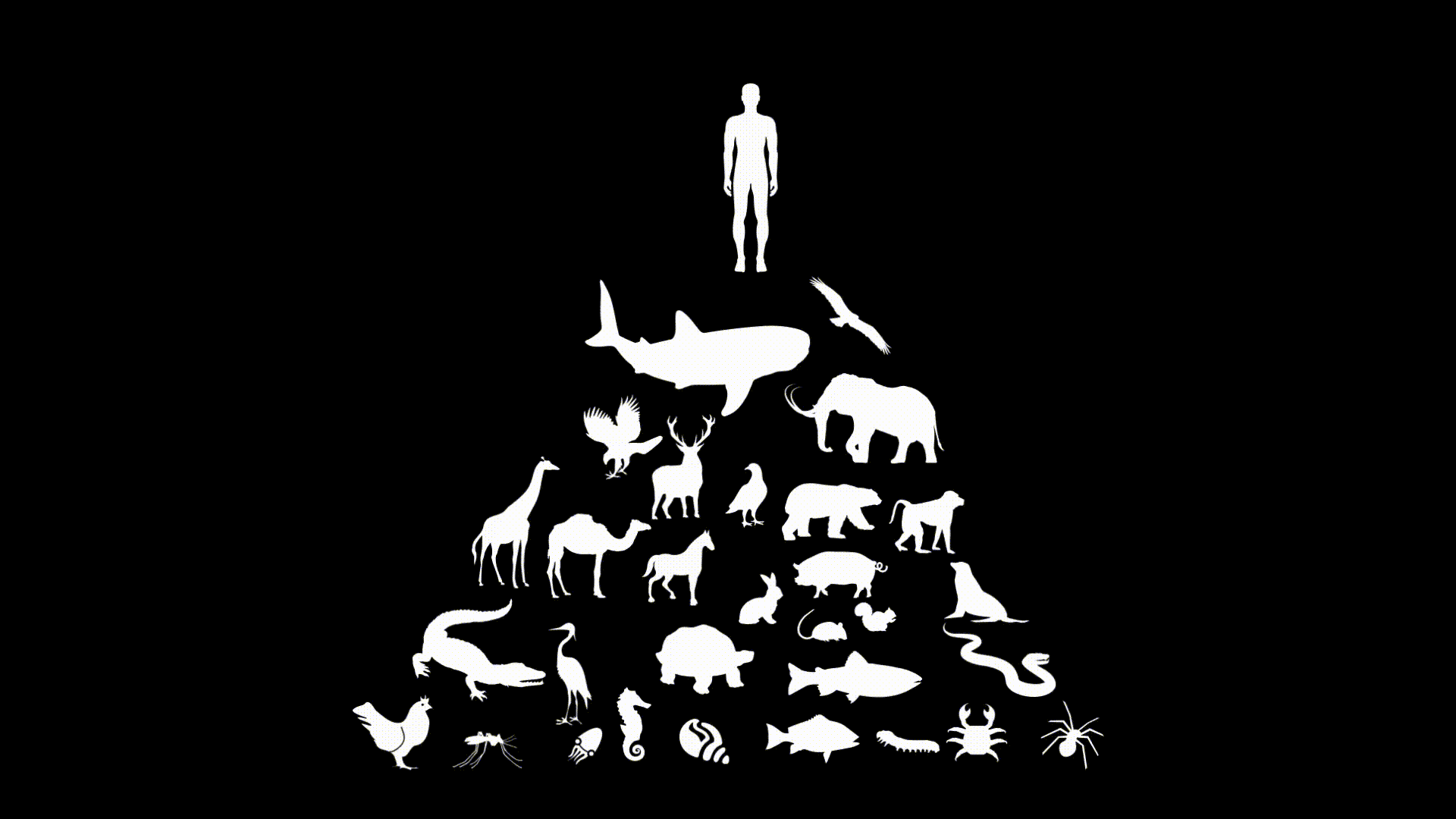 DOMINION: Redefining Relationship Between Animals & Humans
