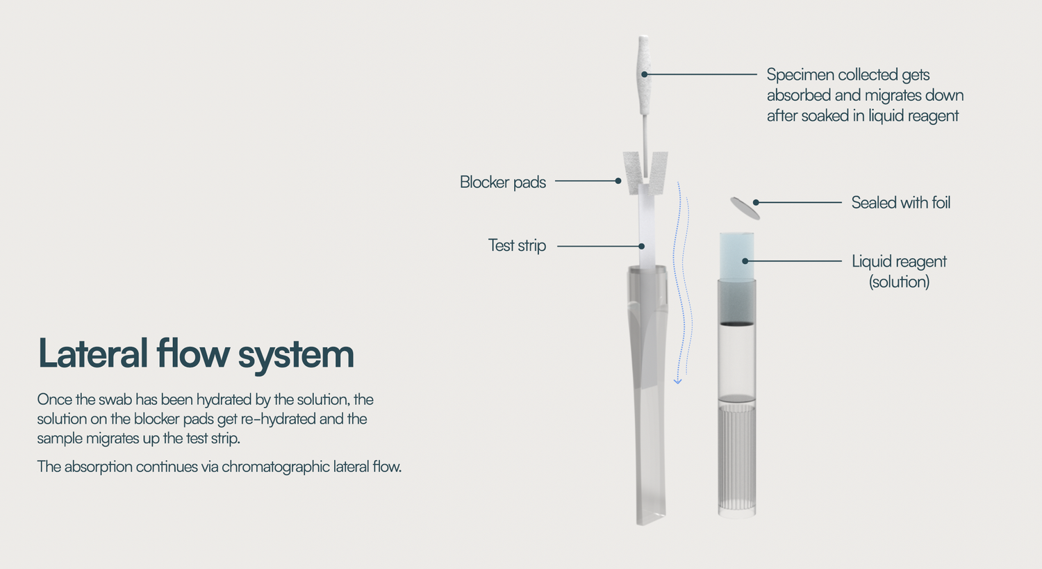 Fifteen: Introducing an All-in-One Virus Rapid Test