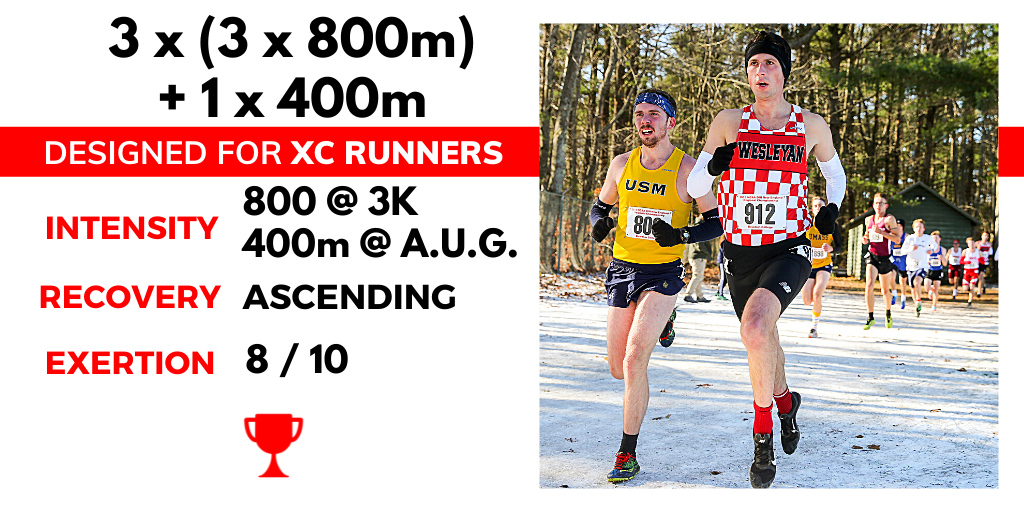 3 x (3 x 800m) + 1 x 400m — HIGH PERFORMANCE WEST