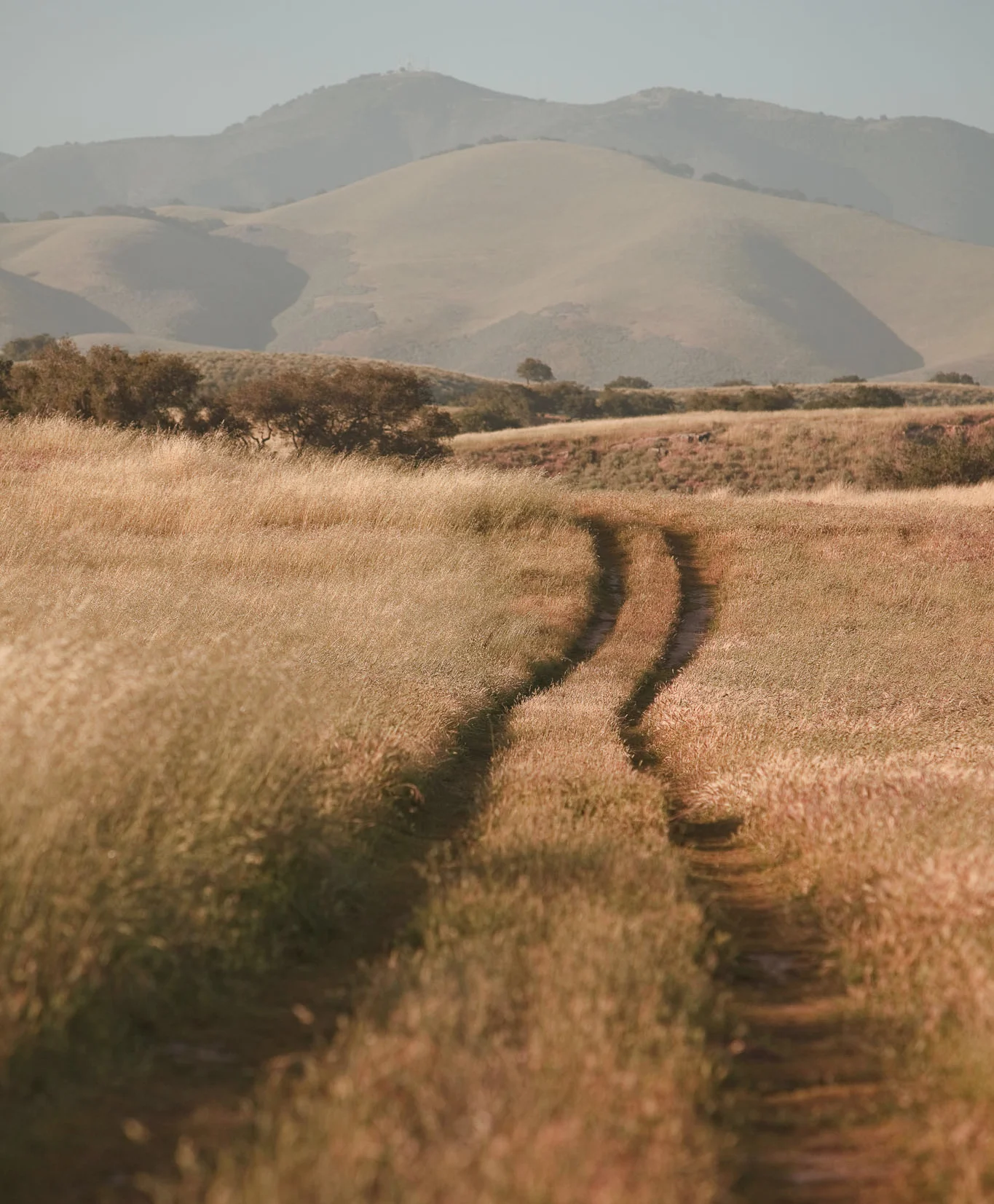 Mark Trabucco Builder