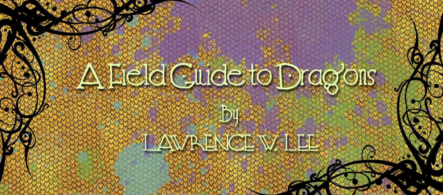 Field Guide to Dragons — Lawrence Lee Fine Art