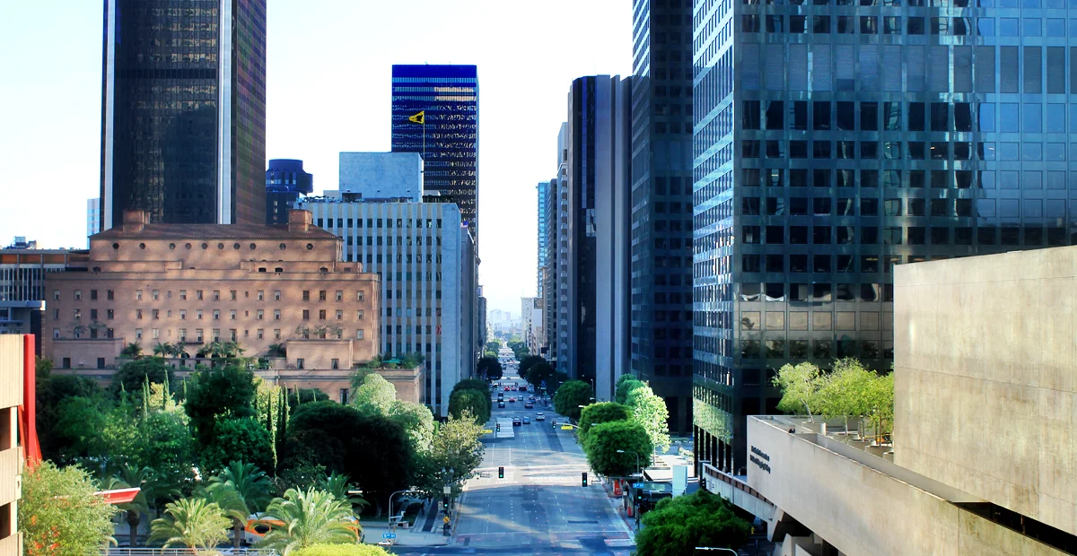 Liang Ly LLP-Practice Areas