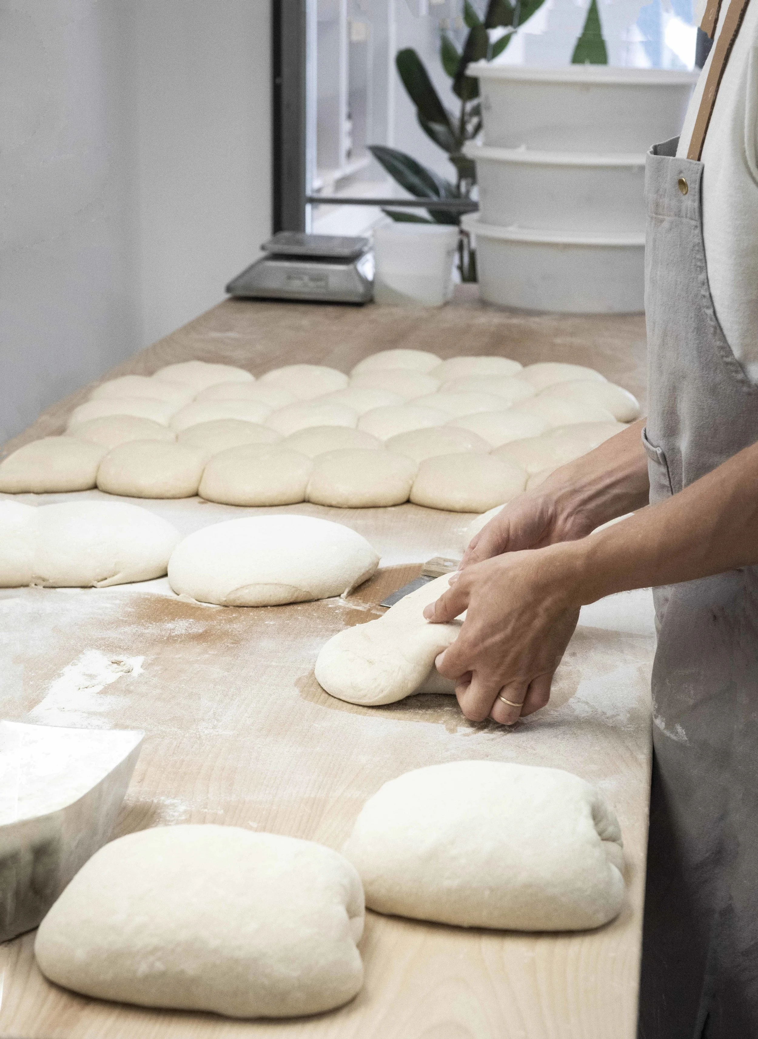 Origo Bakery - Baking a Difference — BARCELONA FOOD EXPERIENCE