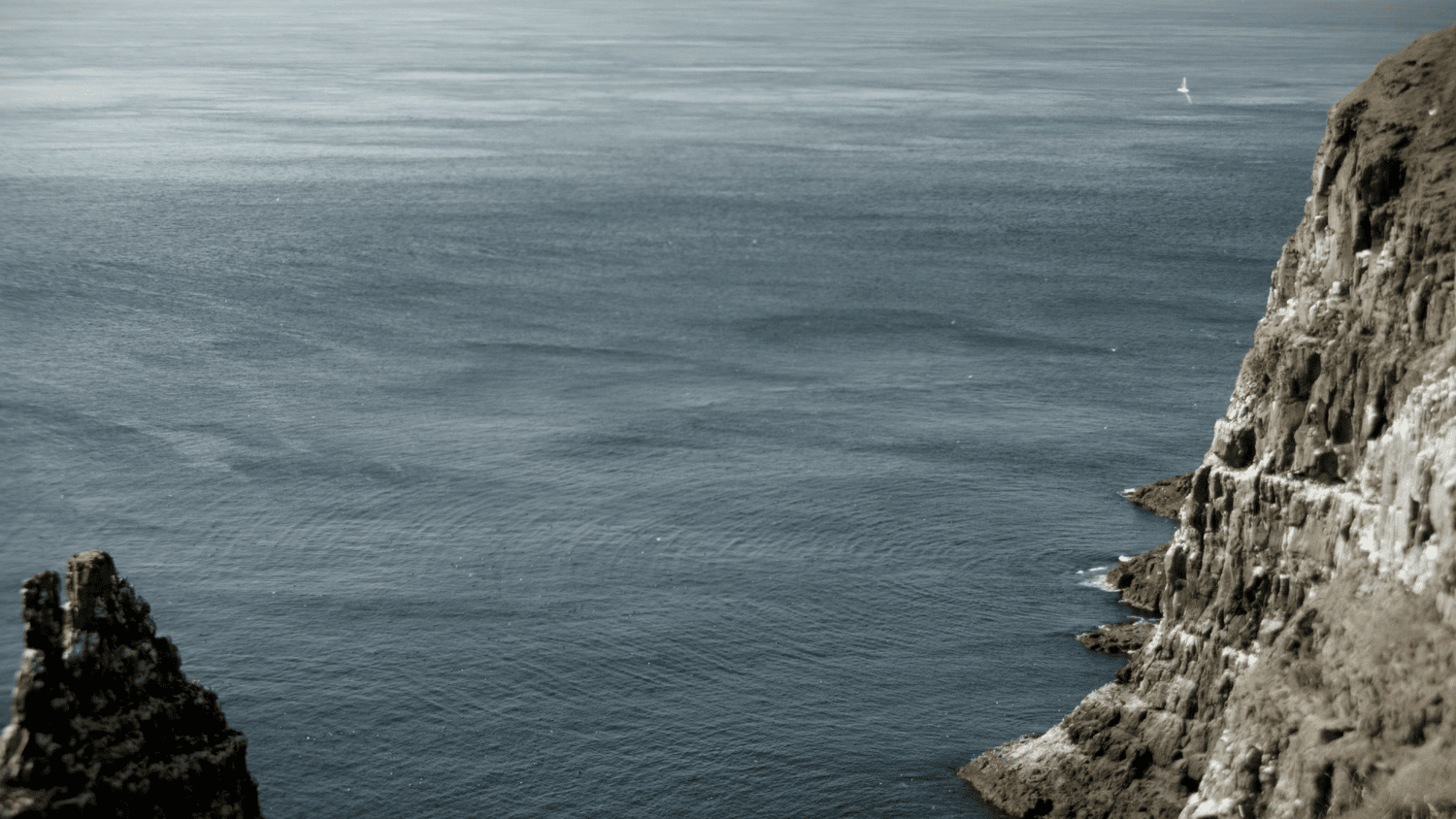 The Approach — Angela Halliday