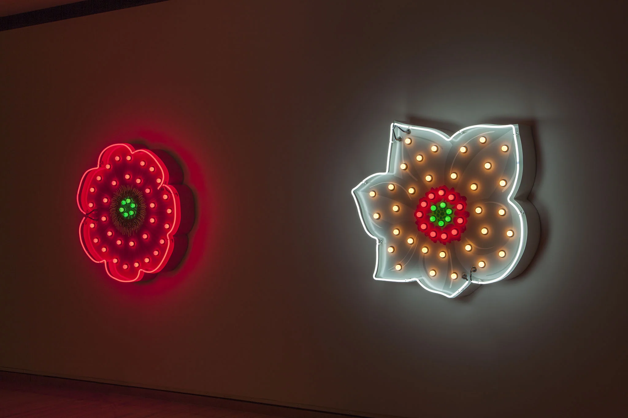 Efflorescence — Iftikhar Dadi & Elizabeth Dadi