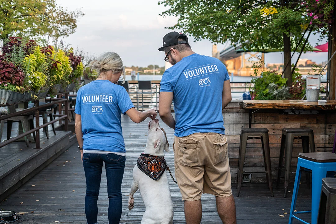 Morgan's Pier — FCM Hospitality