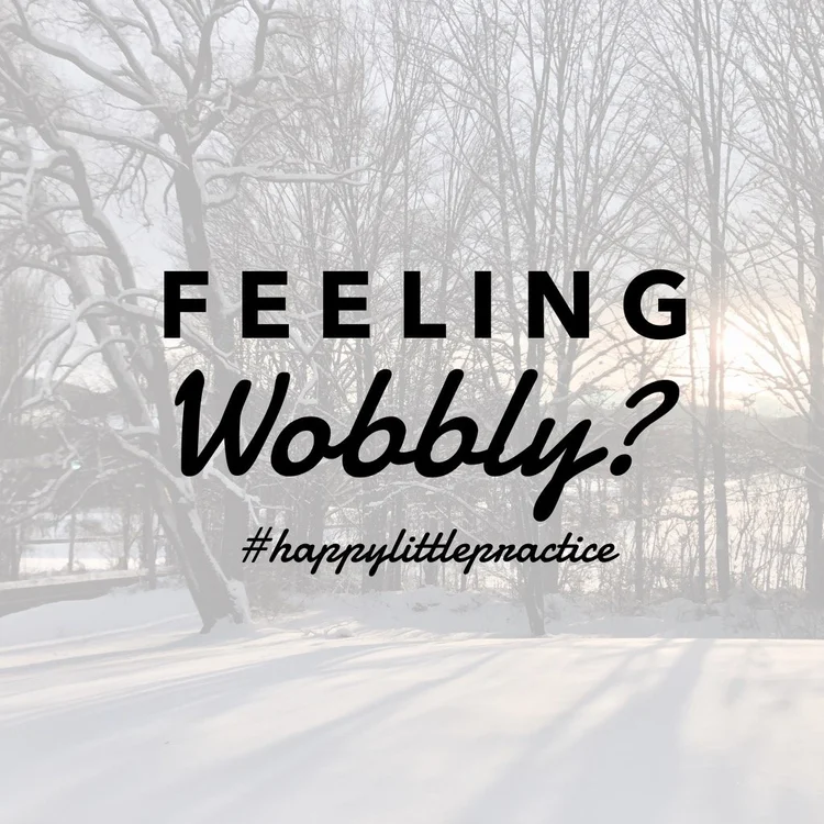 Feeling Wobbly in Business? Part 1 — Karin Rozell