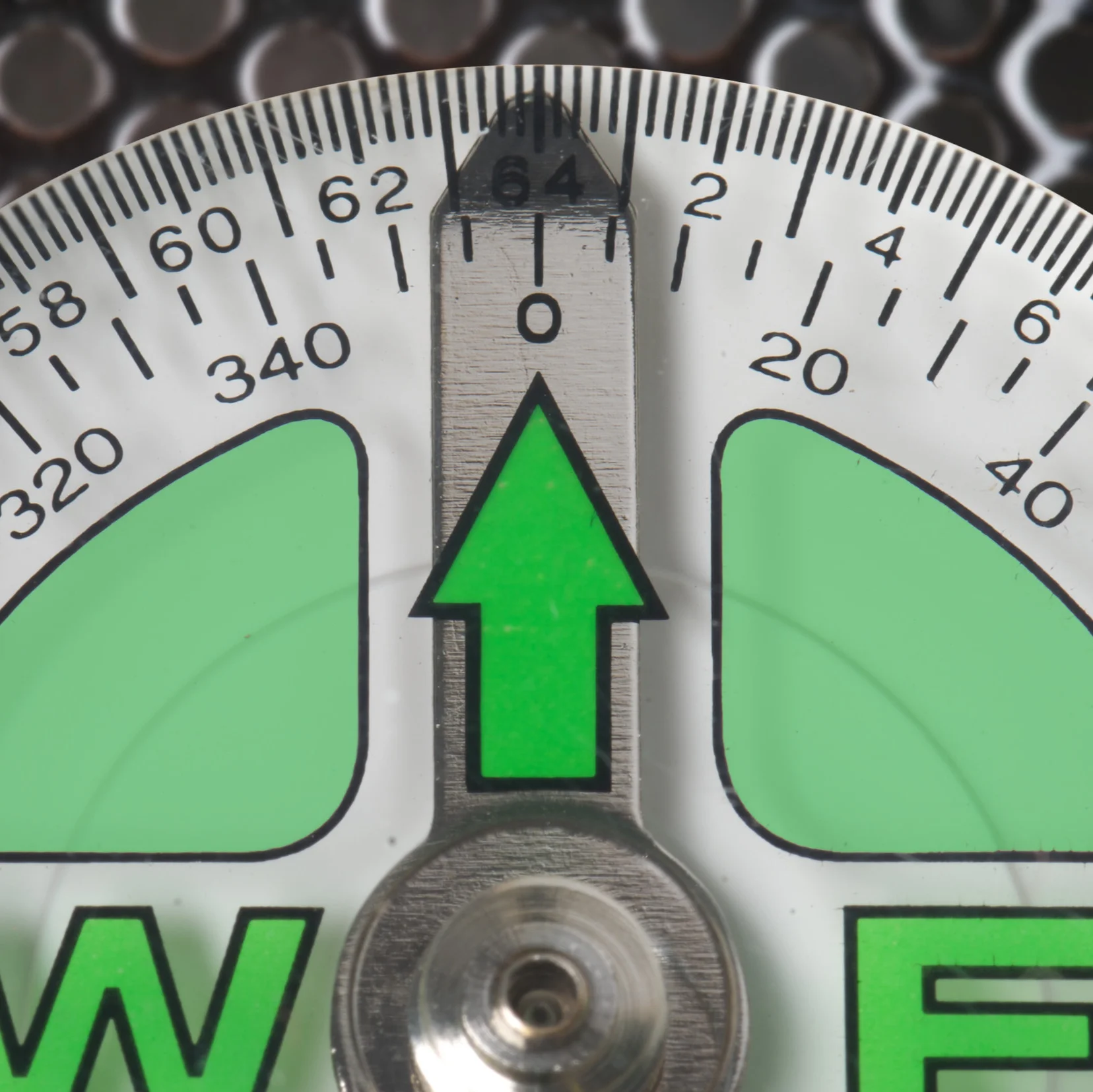 How To Start the Ketogenic Diet — BLOG