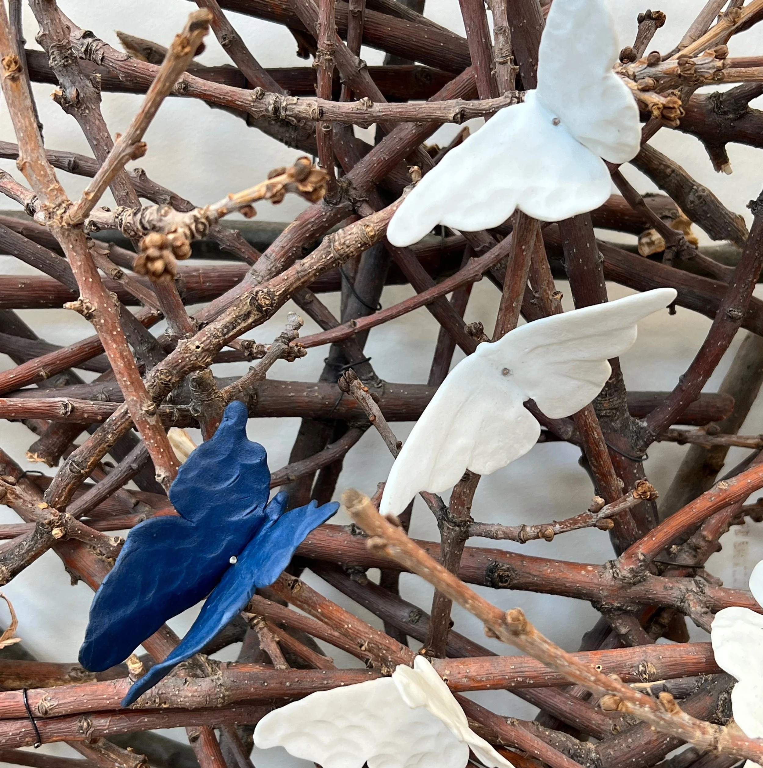 Kelly Connole — Cannon River Clay Tour