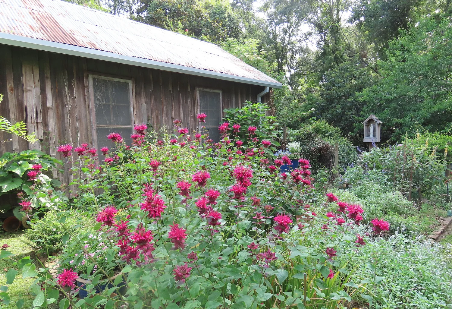 Around the Abbey — Saint Joseph Abbey