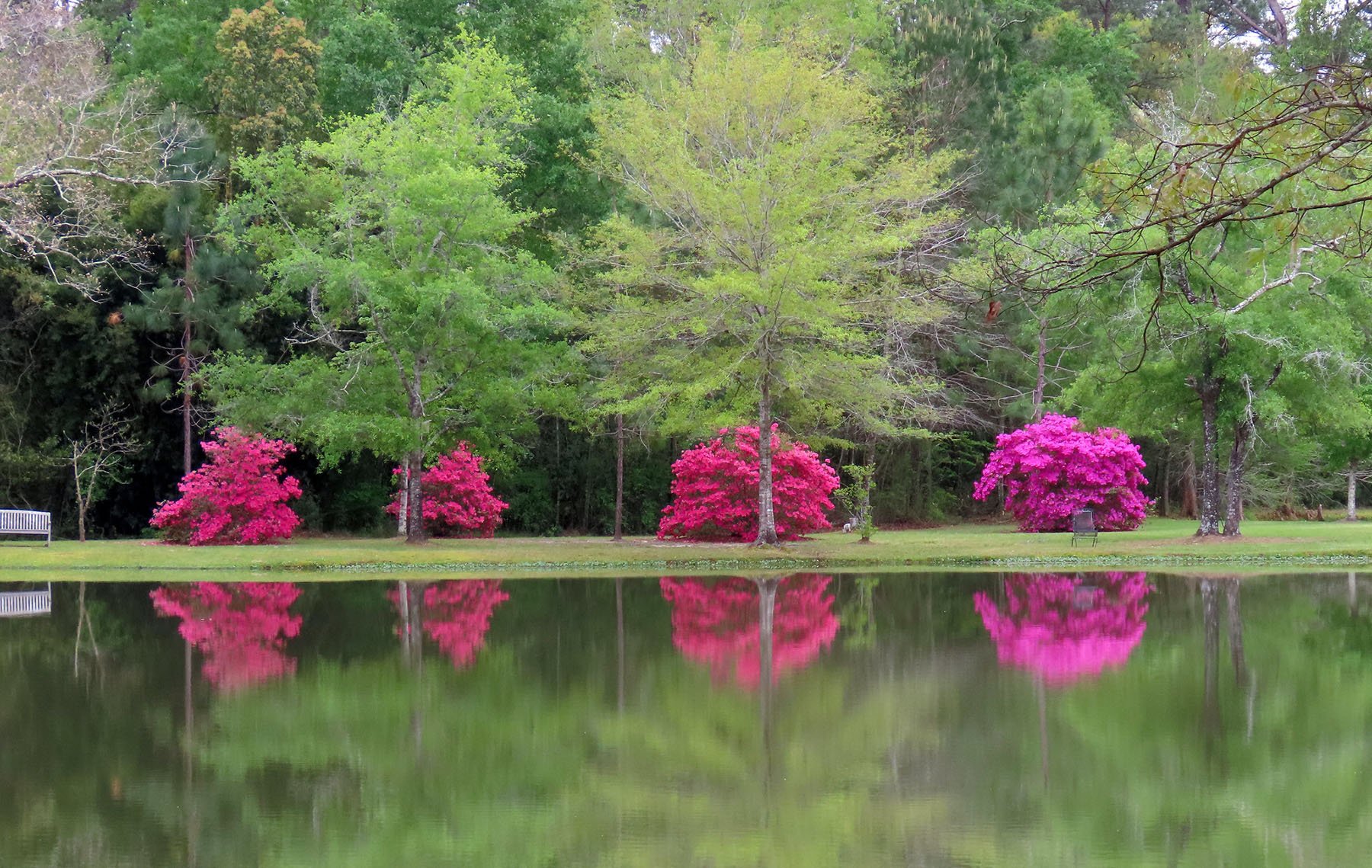Around the Abbey — Saint Joseph Abbey